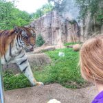 31 Best Midwest Family Vacations: City Breaks, Nature Escapes & Fun ...