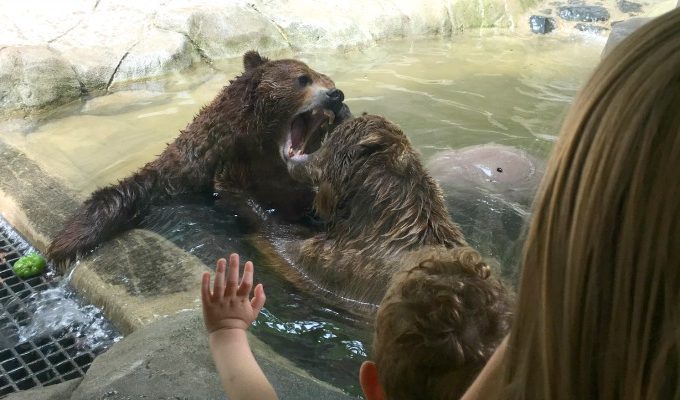 20 Thrills for Kids at John Ball Zoo - grkids.com
