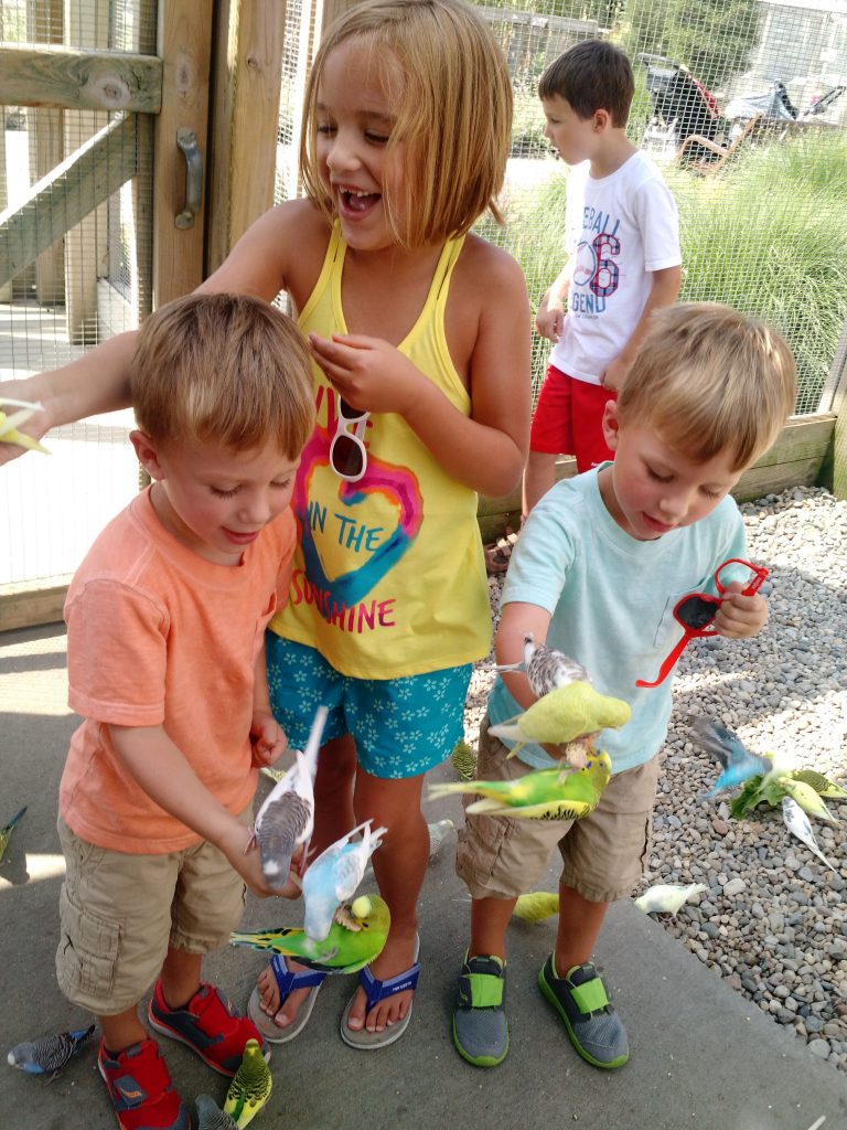 Preschooler Life in Grand Rapids - Where Little Kids can Find Big Fun ...