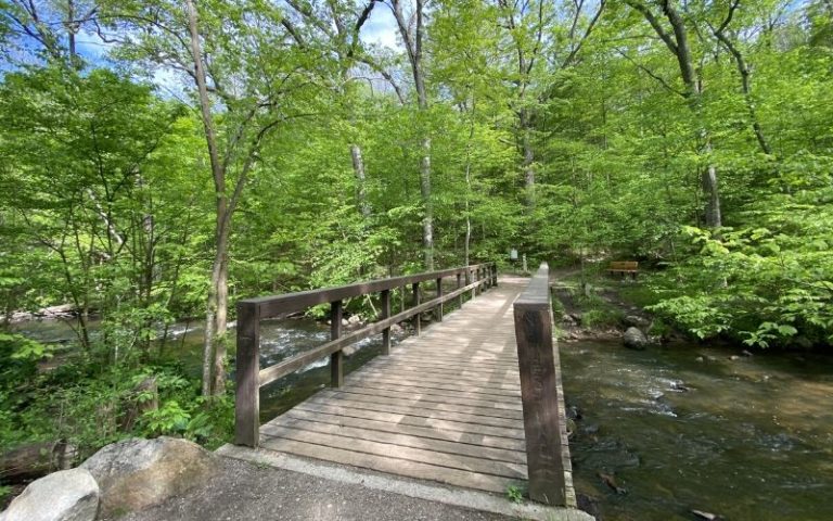 Seidman Park: Boardwalks & Creek Highlight This Popular Natural Trail ...