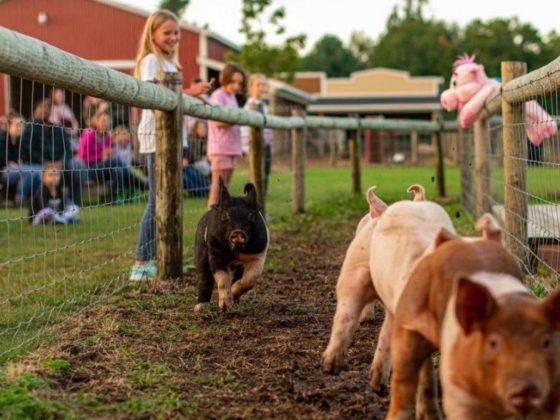 30 Incredible Animal Farms & Petting Zoos for Kids in West Michigan ...
