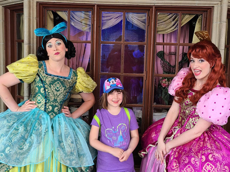 10 Best Disney Travel Agents for an Unforgettable Trip & How Using a ...