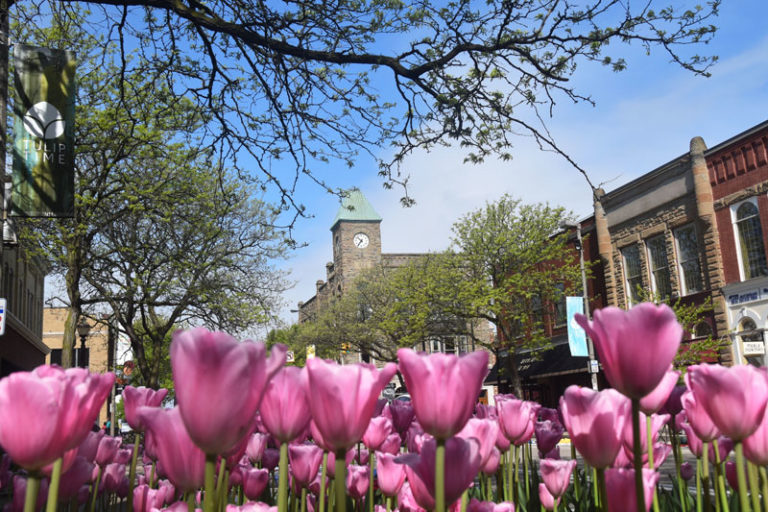 Holland Tulip Festival 2026: Insider's Best Tulip Time Tips