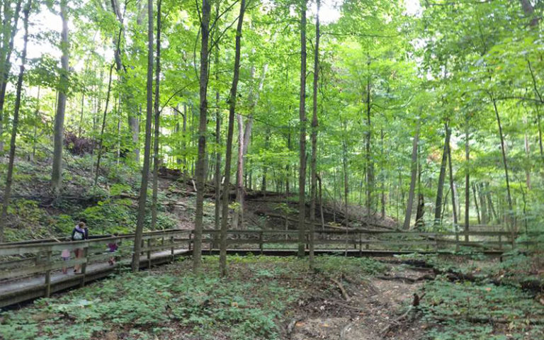 Get Some Fresh Air by Exploring One of These 9 West Michigan Nature ...