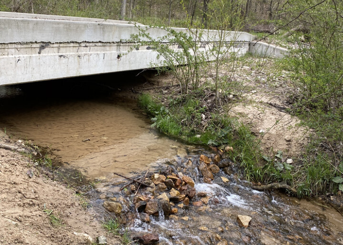 Crahen Valley Park: Splash in the Creek & Try Not to Get Lost When ...
