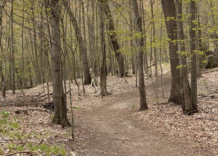 Crahen Valley Park: Splash in the Creek & Try Not to Get Lost When ...