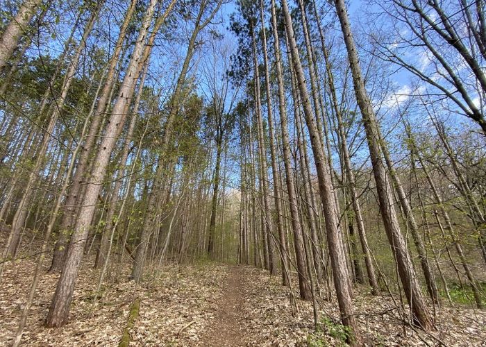 Crahen Valley Park: Splash in the Creek & Try Not to Get Lost When ...