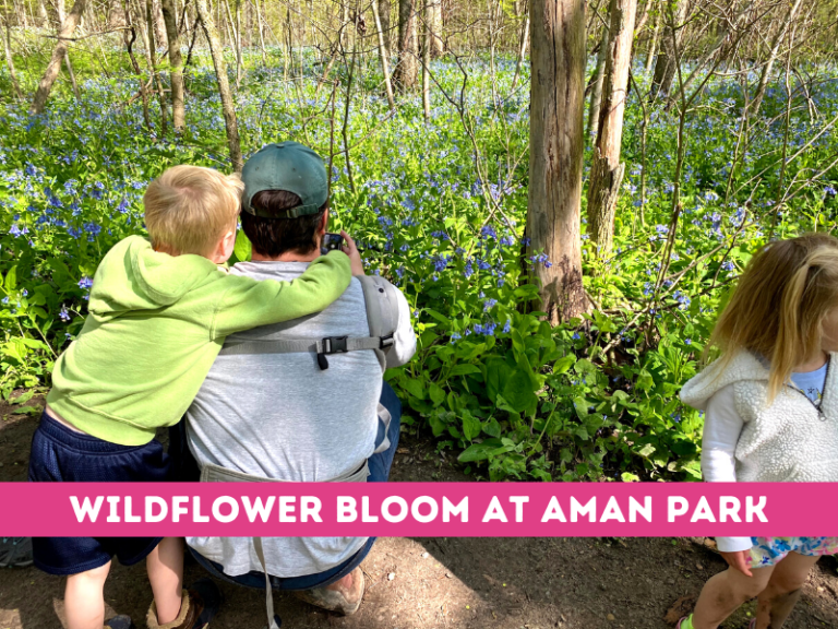 Versluis Park in Plainfield Twp is Your Beach For Nearby Water Fun ...