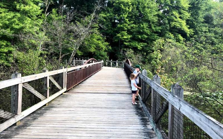 Hemlock Crossing is Breathtaking: Hike or Kayak the Pigeon River ...