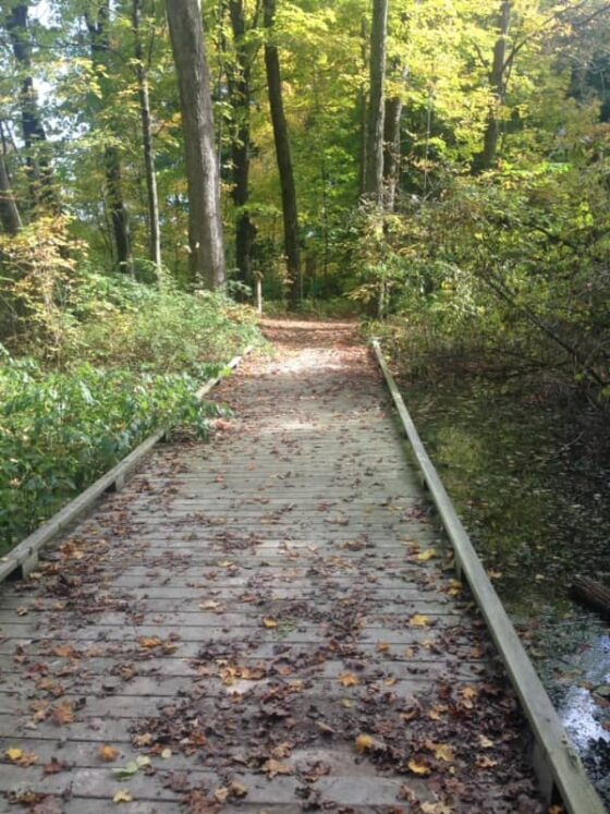 Be Sure to Stop at These 26 Stupendous Spots in Kentwood, Caledonia and ...
