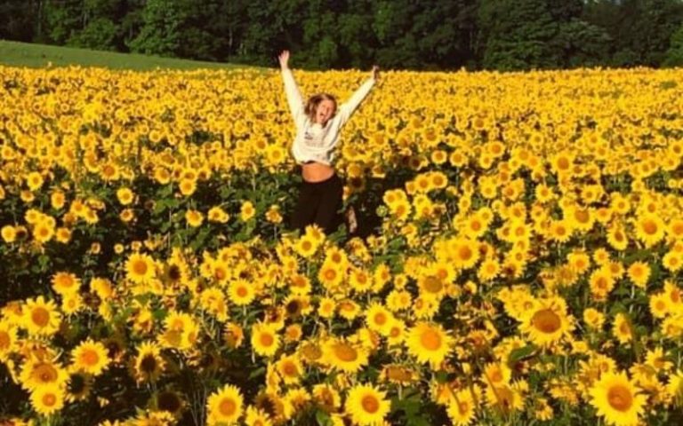 Sunflower Fields in Michigan: 23 Fairytale Fields to Explore, Plus ...