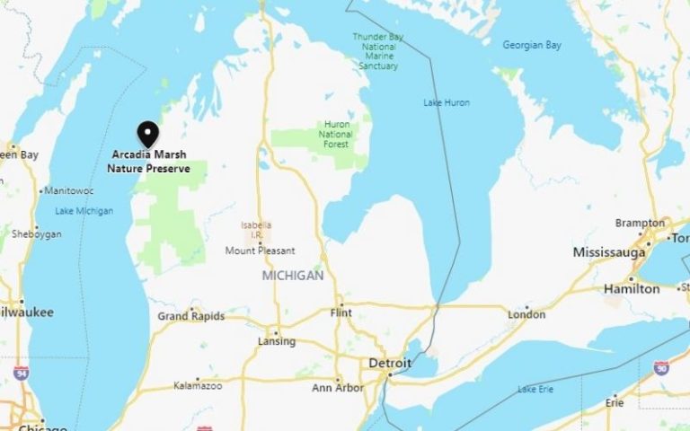 Arcadia Michigan: Easy Over-Water Boardwalk Leads to Max Wildlife Views