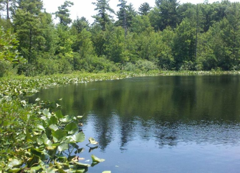 Get Some Fresh Air by Exploring One of These 9 West Michigan Nature ...