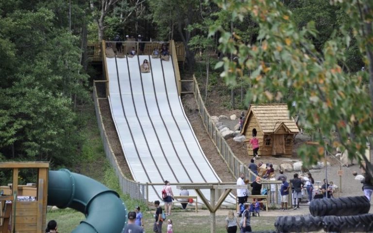 Lewis Farms 2026: Mosey Over to this Fun-Filled Adventure Farm ...