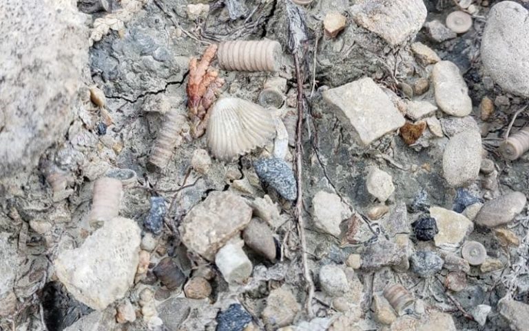 Rockport State Park 2025: Hit the Fossil Motherlode, Explore a Ghost ...