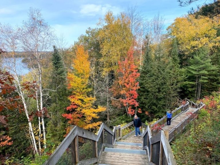 Michigan Fall Colors 2025: 12 Delightful Ways to Make the Most of Fall ...