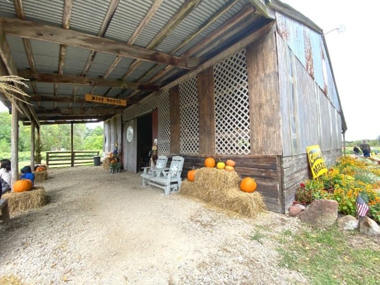 Deep Roots Farm: 3-Level Corn Maze, Pumpkins & Fall Photos - grkids.com