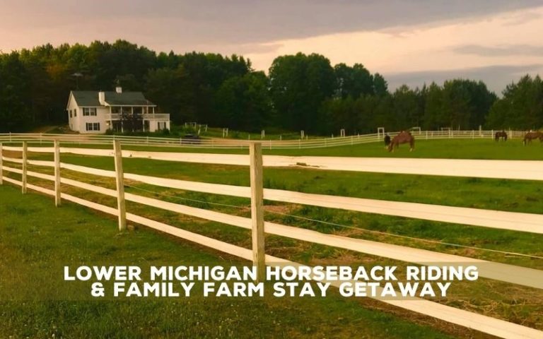 Spend a Refreshing Fall Weekend Riding Horses at this Michigan Ranch ...