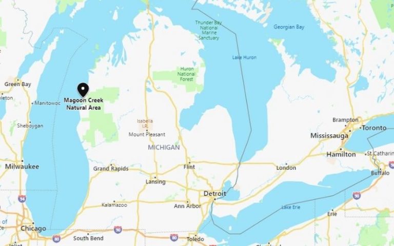 Magoon Creek Natural Area 2025: Scoop Up Beach Glass & Rock Finds at ...