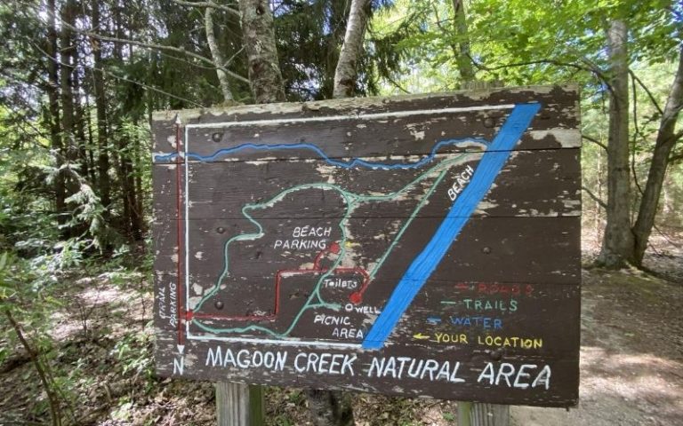Magoon Creek Natural Area 2025: Scoop Up Beach Glass & Rock Finds at ...