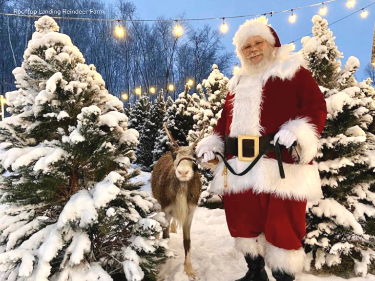 Michigan's Magical Reindeer Farms: Lighted Walks, Santa Events ...
