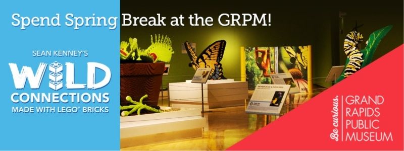 Spring Break Ideas for 2021: Best Things to Do on Spring Break around ...