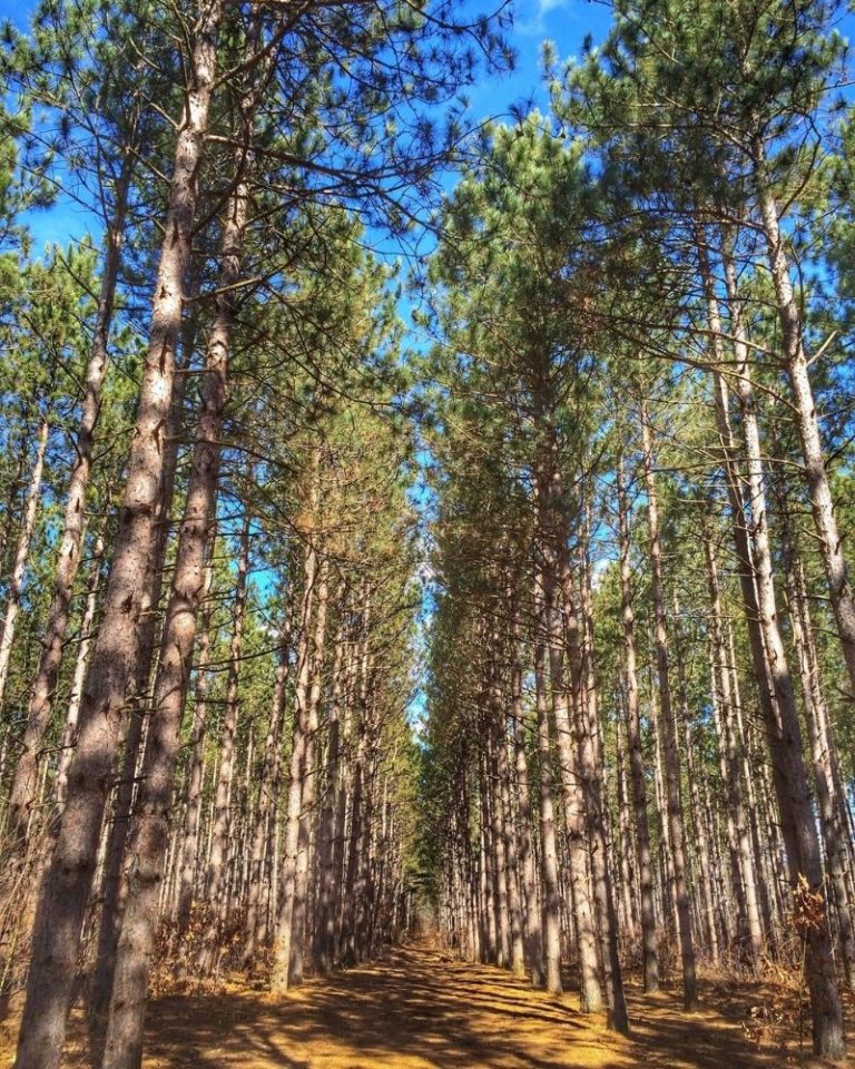 Unique Senior Pictures Photo Shoot Locations, Plus 30+ West Michigan ...