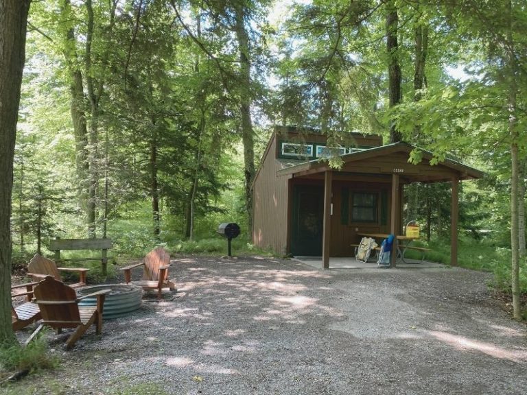 Leelanau Peninsula: 25+ Best Things to Do, Including Leland, Northport ...