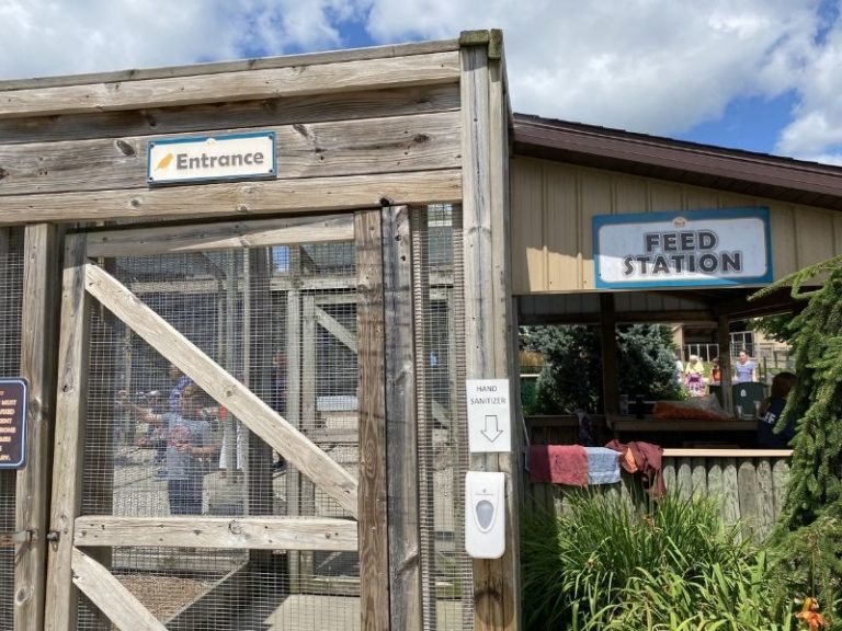 Boulder Ridge Zoo: Wild Animal Park & Safari Walkthrough - grkids.com