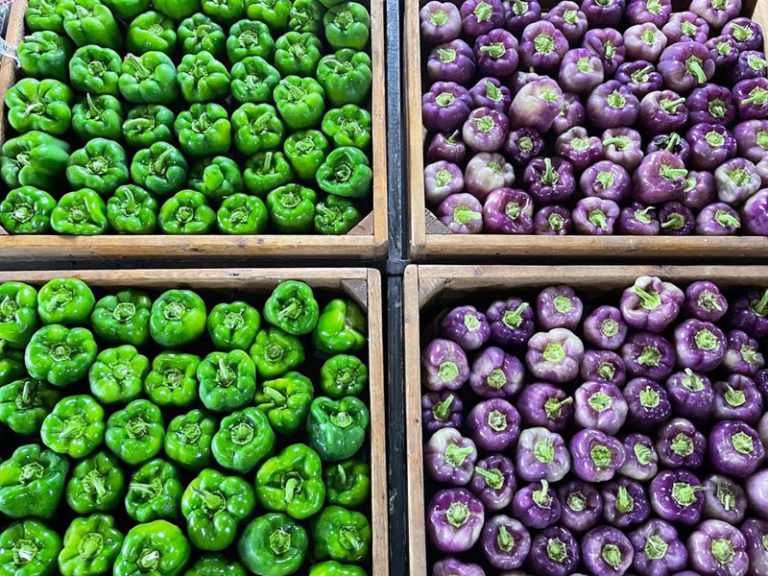 Deep Roots Farm: 3-Level Corn Maze, Dramatic Sunflower Fields, Pumpkins ...