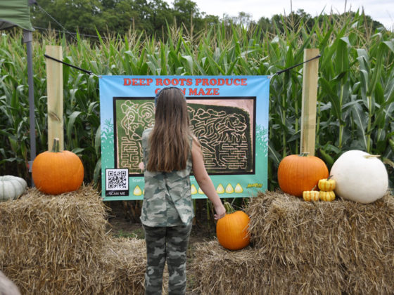 Head to Deep Roots for Farm Fresh Donuts, Corn Maze, Glow Nights & More ...