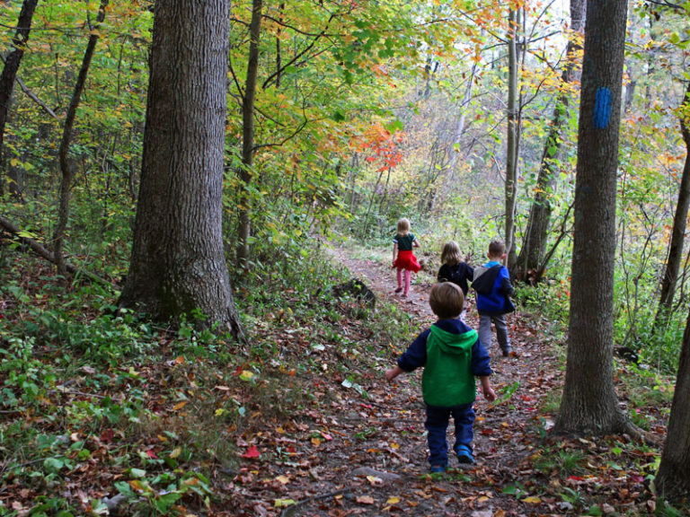 8 Free Fall Activities Near GR that are Loaded with Adventure - grkids.com