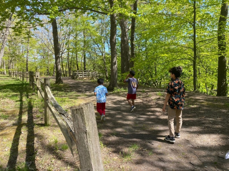 The Ledges at Fitzgerald Park: Soaring Cliffs, River Hikes ...