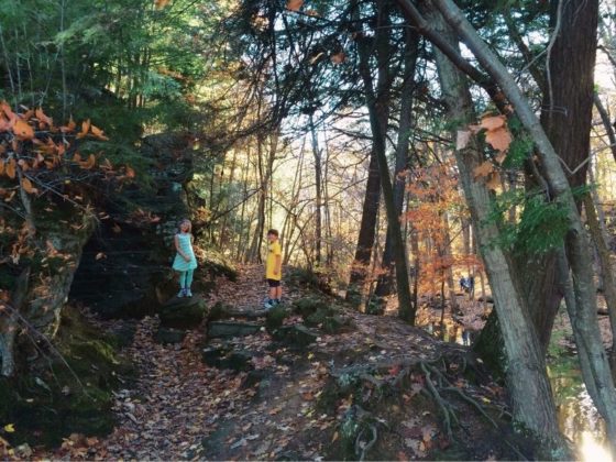 The Ledges at Fitzgerald Park: Soaring Cliffs, River Hikes ...