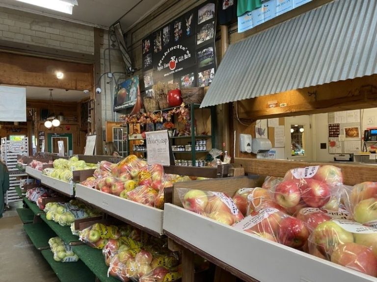 See why Robinette's Apple Haus Makes a Perfect Fall Day Trip Destination - 2025