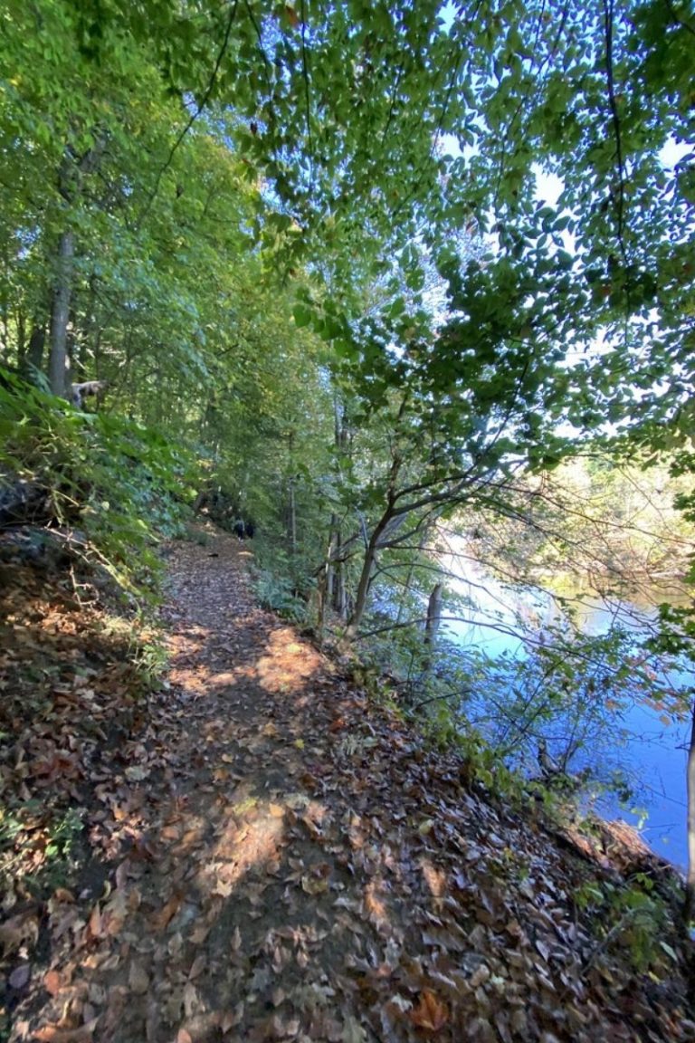 The Ledges at Fitzgerald Park: Soaring Cliffs, River Hikes ...