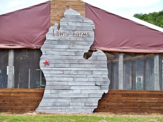Lewis Farms 2022: Mosey Over to this Fun-Filled Adventure Farm ...