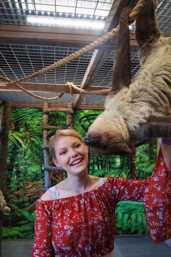 30 Incredible Animal Farms & Petting Zoos for Kids in West Michigan ...