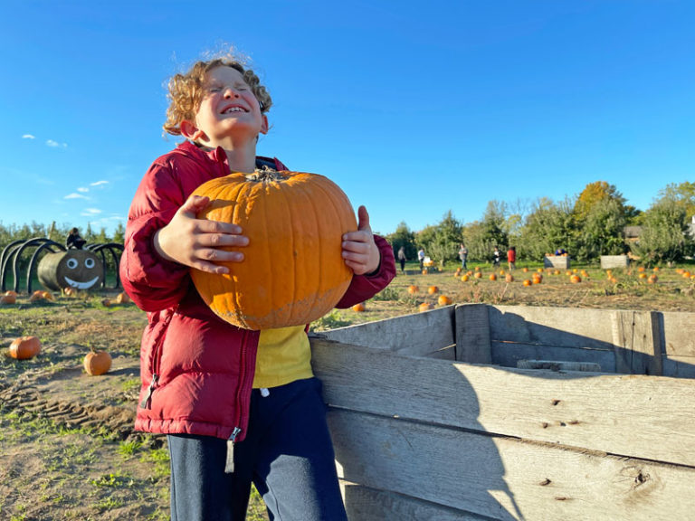 Best Pumpkin Patches: 24 West MI Pumpkin Picking Farms to Visit this ...