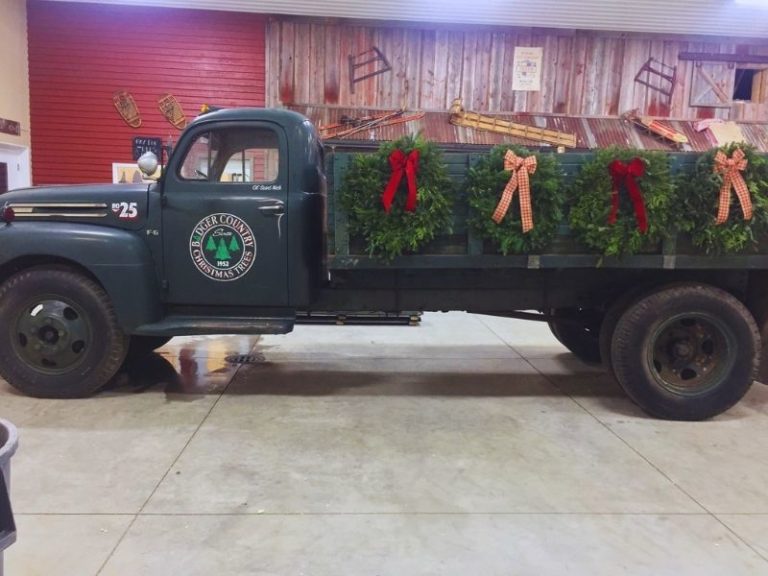 West Michigan Christmas Tree Farms: 20+ Places to Cut Your Own ...