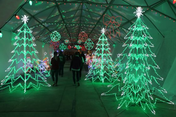 Walk Through the Lights + Santa Visits Return to Gull Meadow Farms in ...