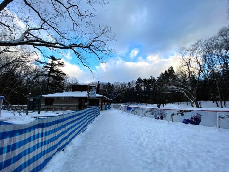 Muskegon Ice Skating Trail, Luge & Other Winter Park Sports Open for ...
