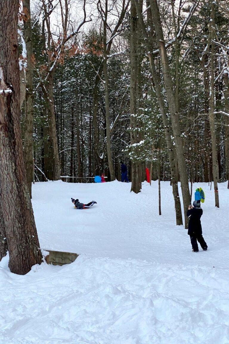 Muskegon Ice Skating Trail, Luge & Other Winter Park Sports Open for ...
