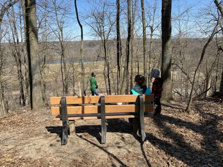 Cascade Peace Park: Hike Hilly, Wooded Trails & Find the Hidden Creek ...
