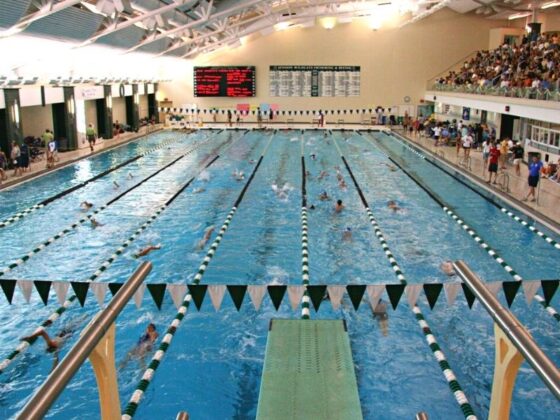 17 Indoor Pools Near Grand Rapids With Open Swimming - grkids.com