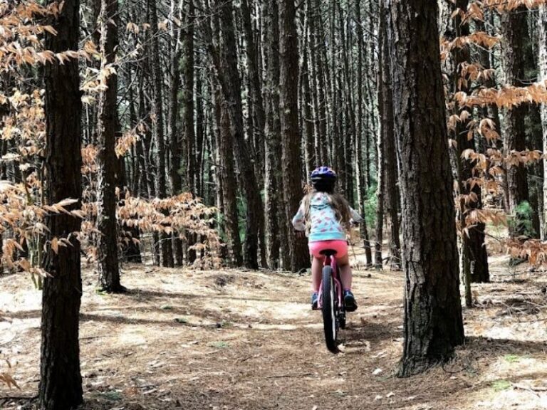 36 Fabulous Things to Do in Holland MI: The Ultimate Trip Planner ...