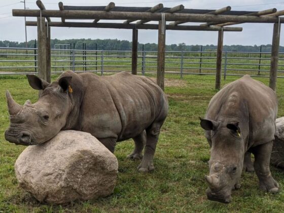 30 Incredible Animal Farms & Petting Zoos for Kids in West Michigan ...