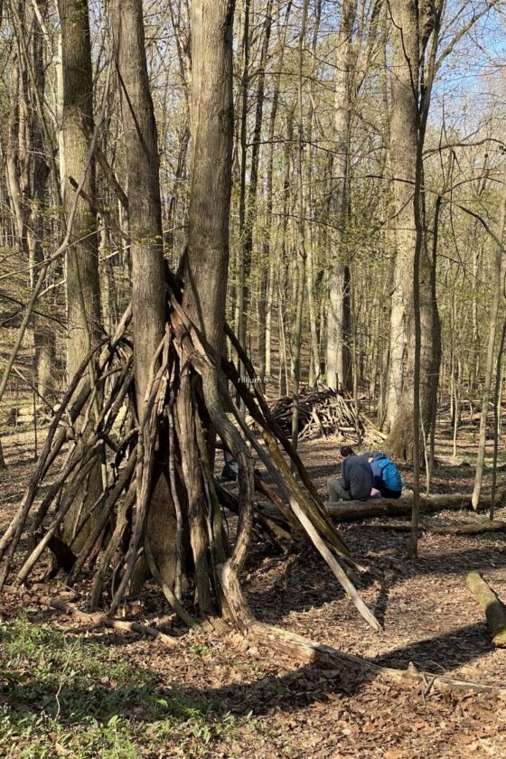 Aman Park: A Springtime Forest Hike that Leads to Epic Wildflower Views ...