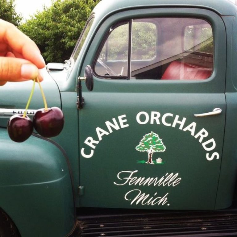 13 Great Cherry Picking Orchards in West Michigan: Visit for a ...