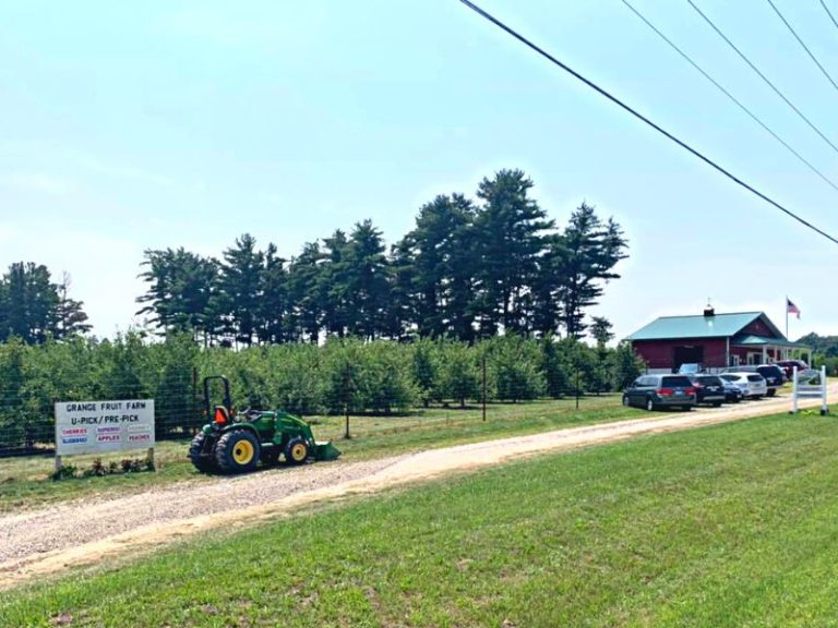 13 Great Cherry Picking Orchards in West Michigan: Visit for a ...